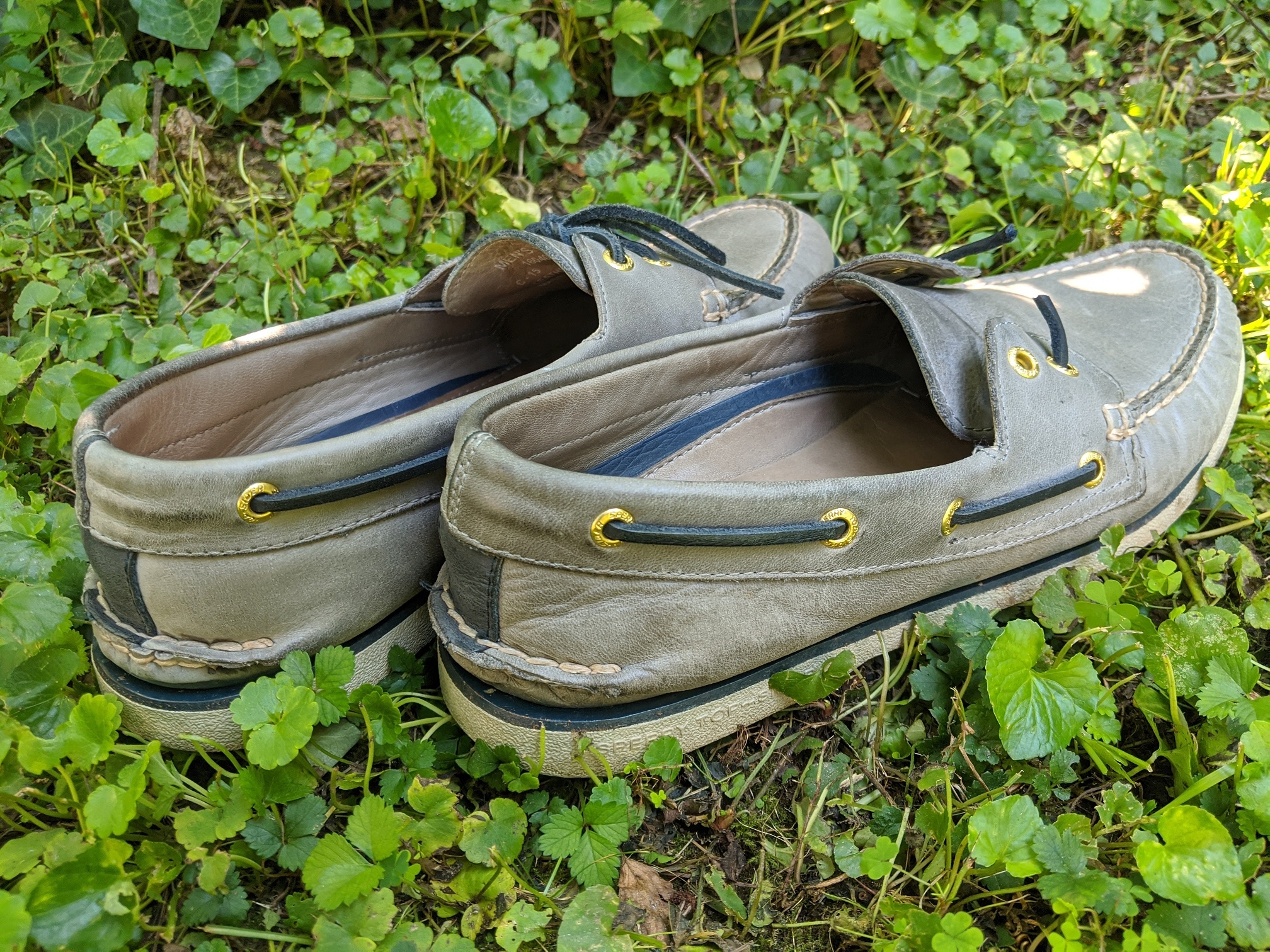 Sperry Top Sider Gold Cup: Five Year Review