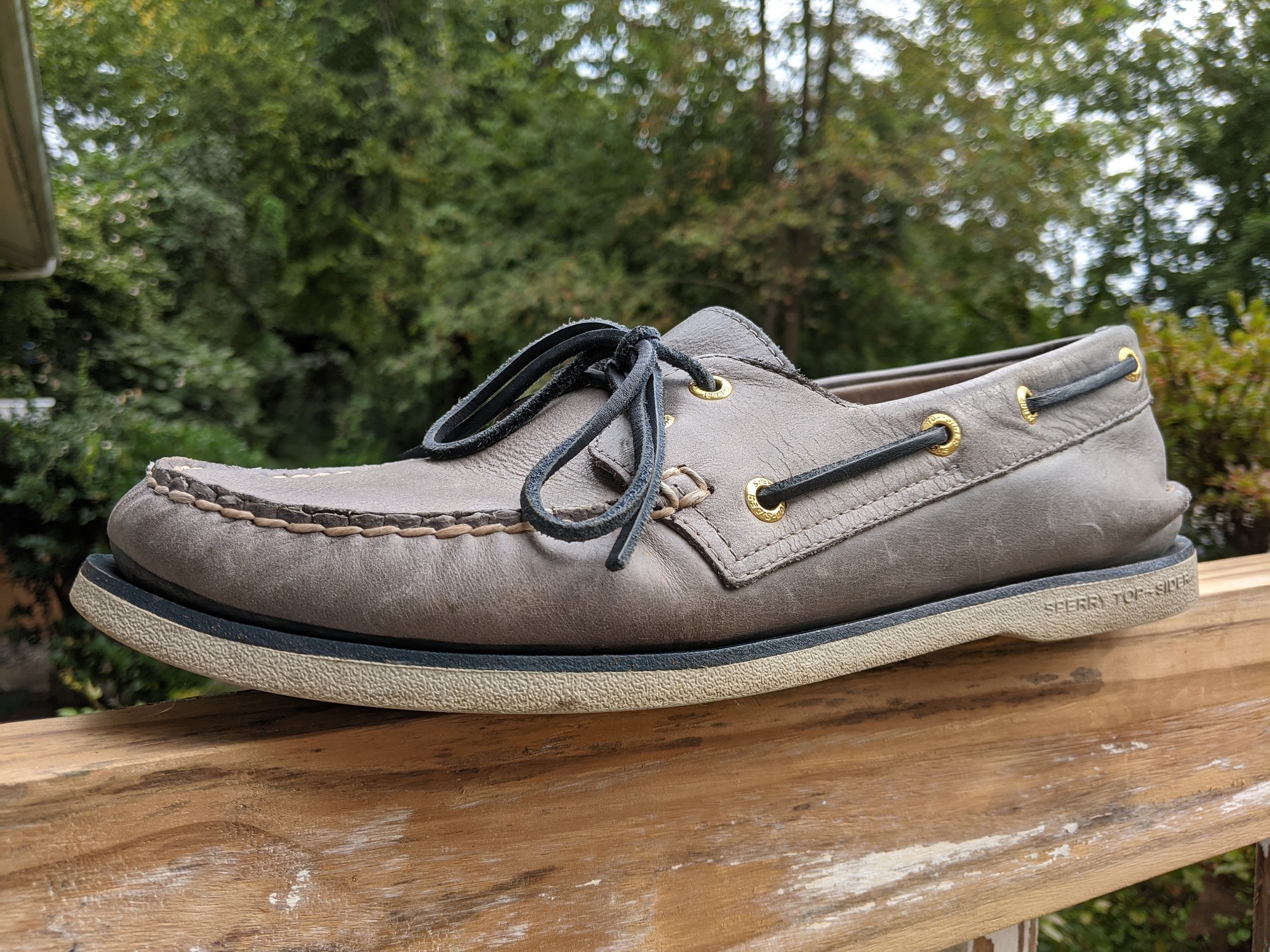 Sperry Top Sider Gold Cup: Five Year Review