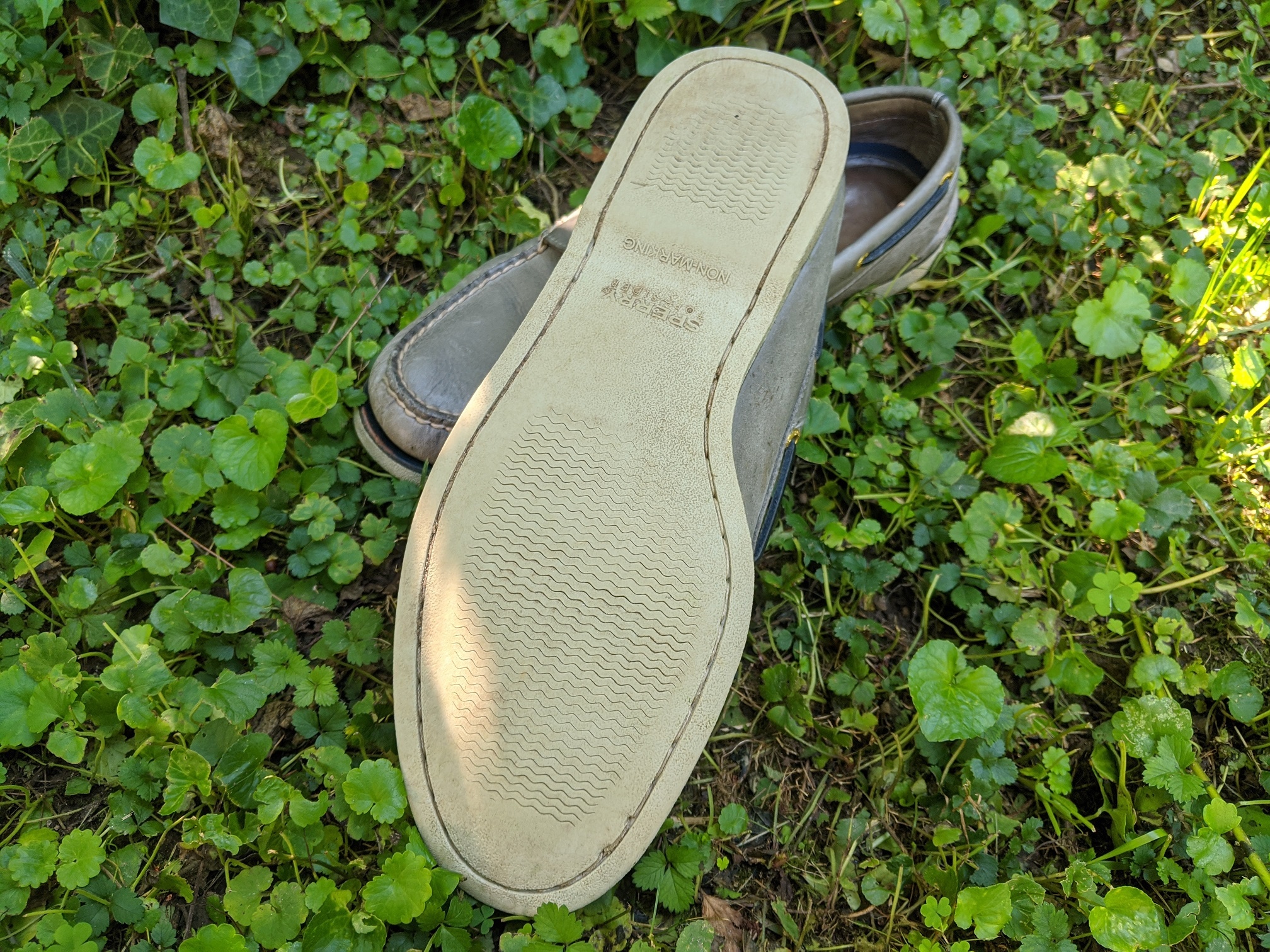Sperry Top Sider Gold Cup: Five Year Review