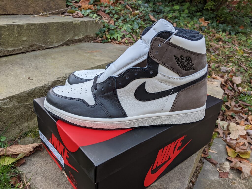 Air Jordan 1 "Mocha": Are They Worth the Hype?