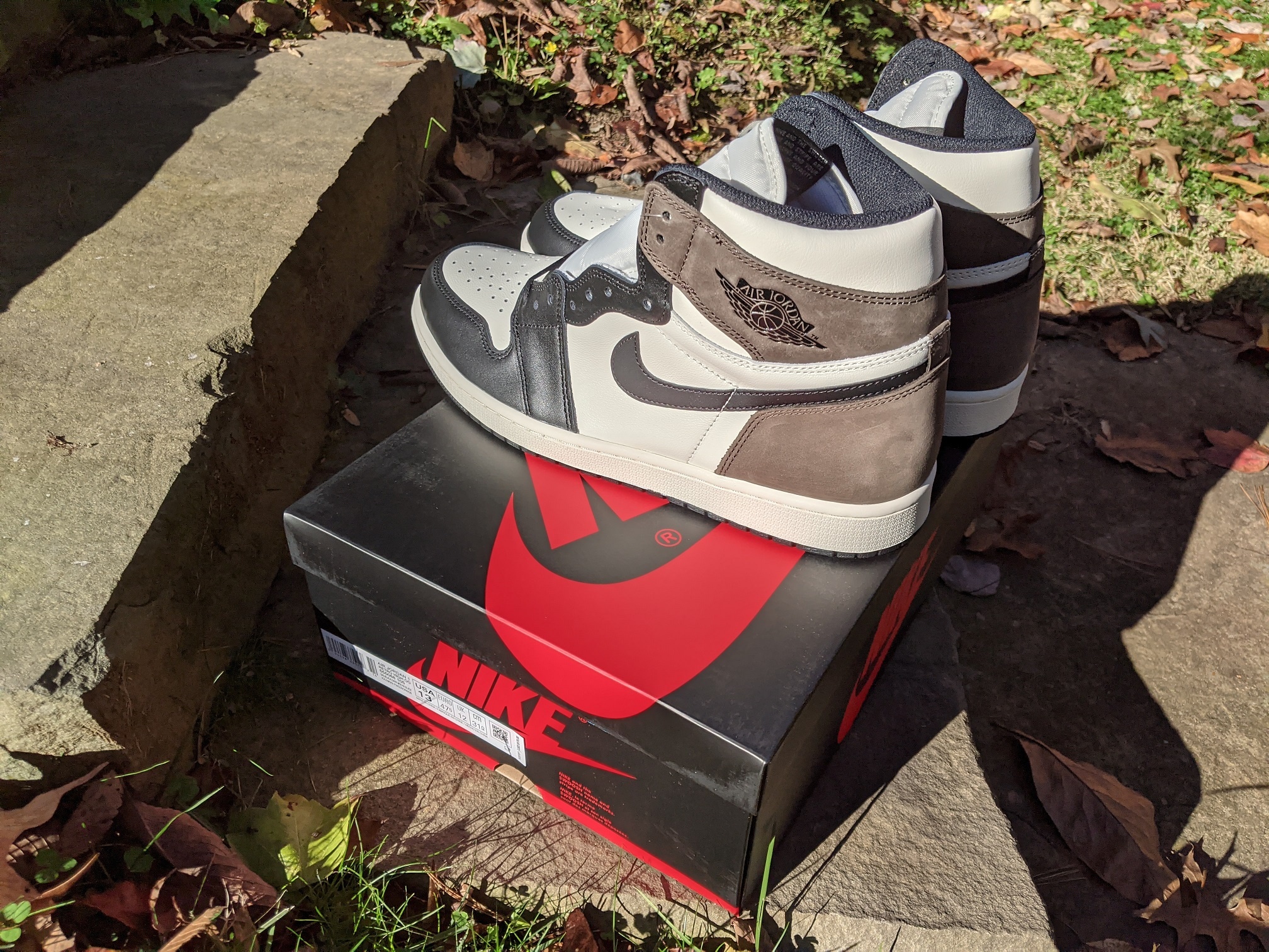 Air Jordan 1 "Mocha": Are They Worth the Hype?