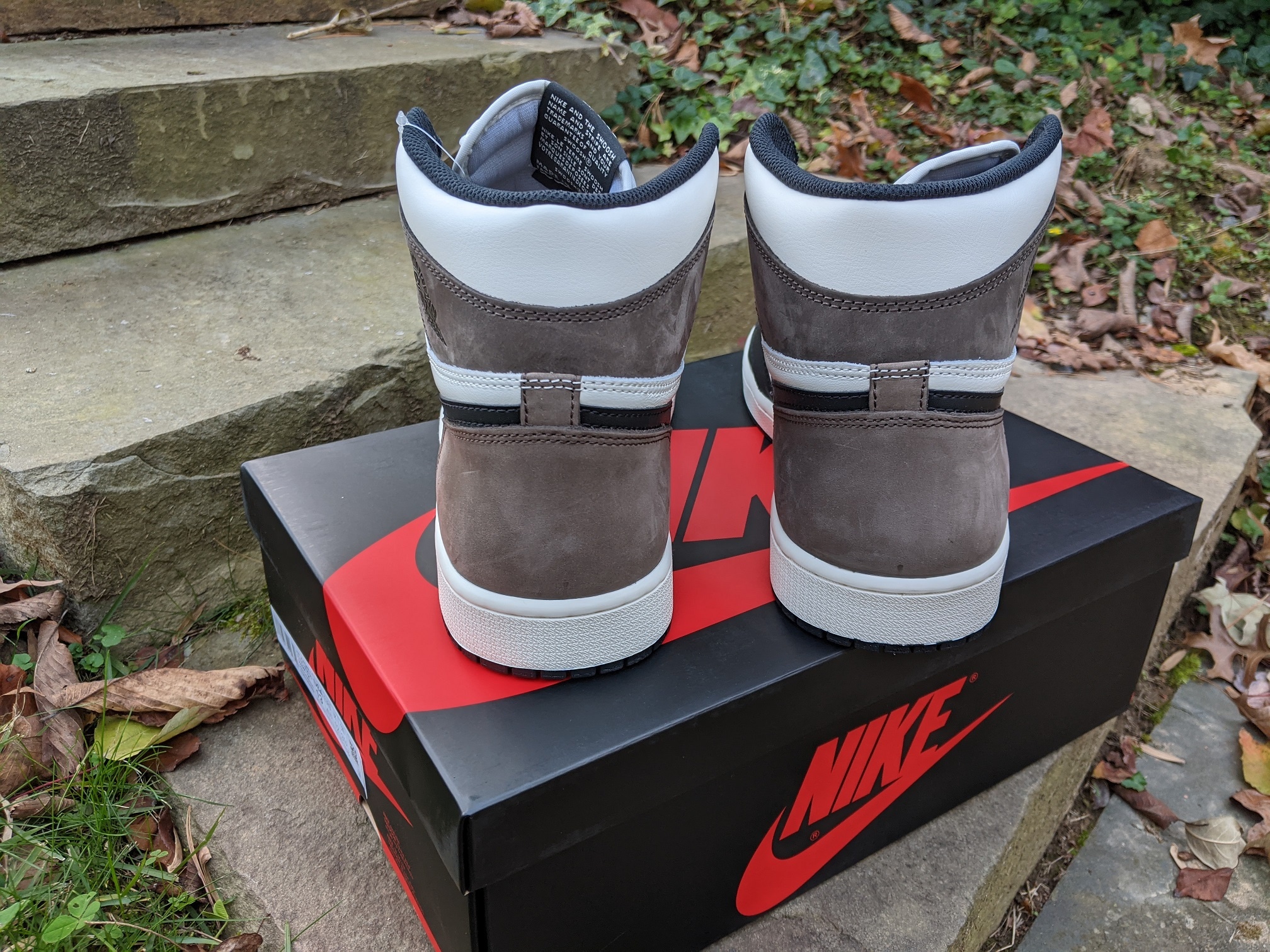 Air Jordan 1 "Mocha": Are They Worth the Hype?