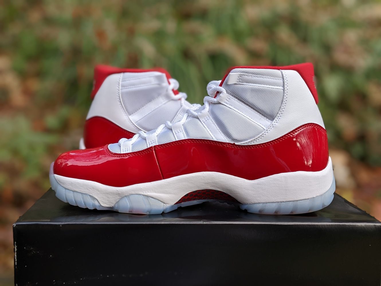 Jordan 11 Cherry: Still Sweet? - 100wears